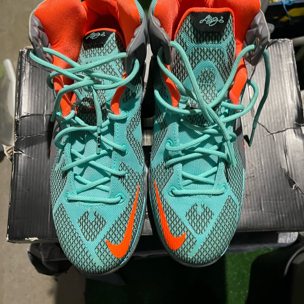 Lebrun James Nike Sneakers - Gem